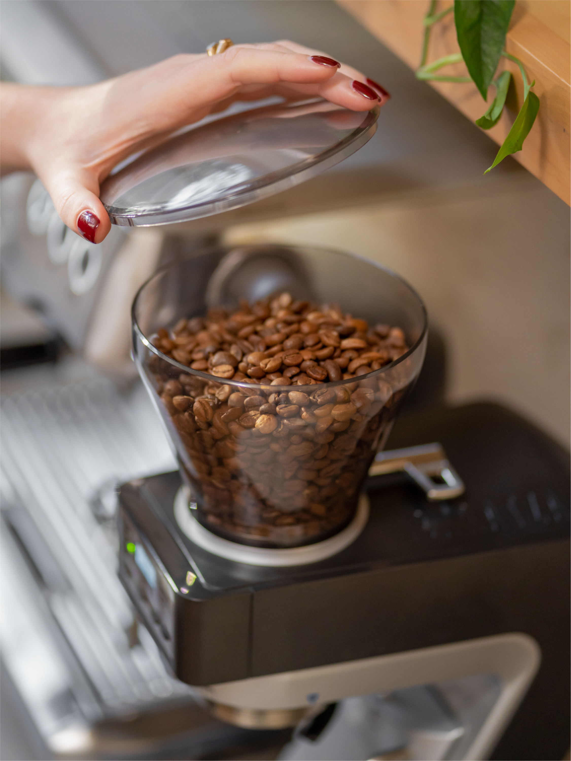 Flavor Notes in Coffee